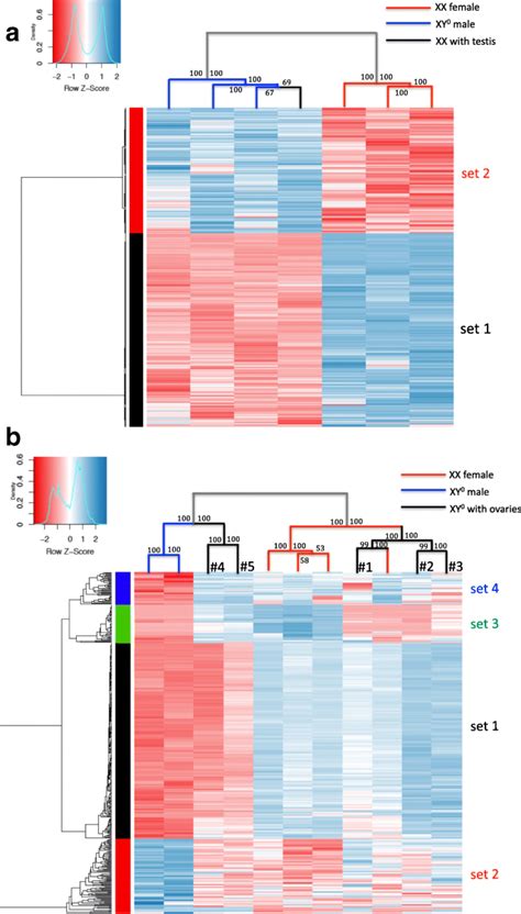 evolutionary and developmental dynamics of sex biased gene expression