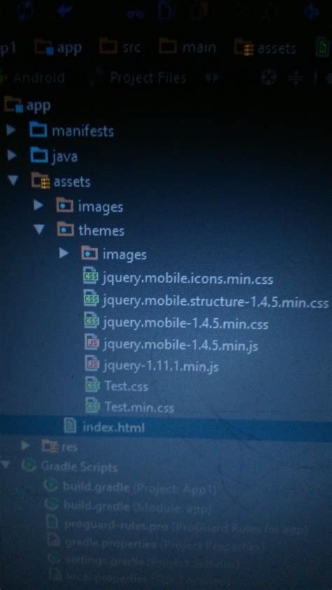 javascript webview cannot load index stack overflow