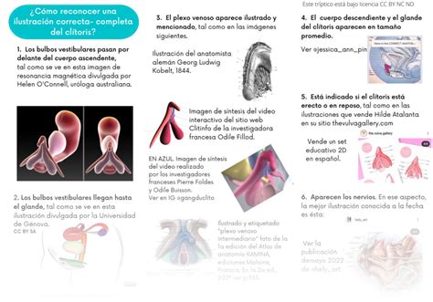 Tríptico Anatomía Del Clítoris Sexología Y Resiliencia