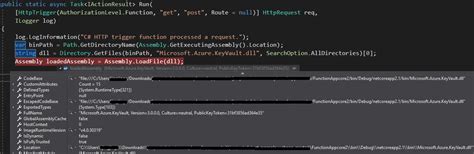 how to make azure functions v2 load assembly from bin folder and not