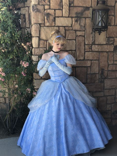 Cinderella Cosplay Cinderela