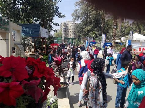 الزراعة تحتفل بعيد الأم في حديقة الأورمان على هامش معرض زهور الربيع