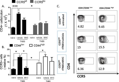 Ccr5 Expression By Colonic Cd4 T Cell Subsets Is Up Regulated In