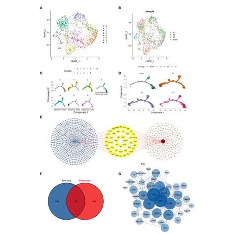 Overview Of Conventional Scrna Seq Analysis And Scstar Analysis Of