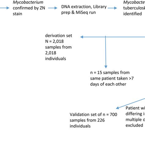 Samples Used And Derivation And Validation Sets Shown Is A Flowchart
