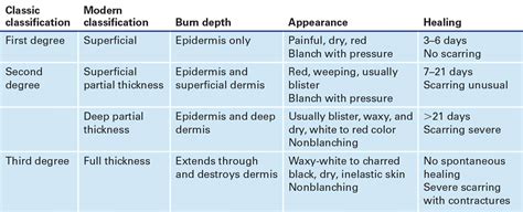 Burn Classification Chart A Visual Reference Of Charts Chart Master