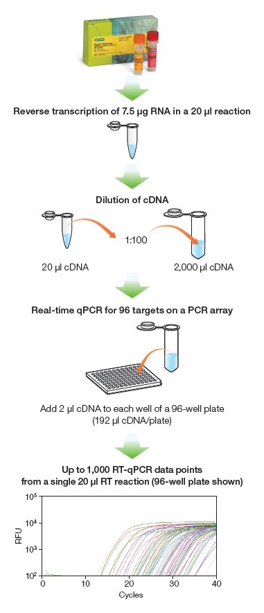Iscript™ Advanced Cdna Synthesis Kit For Rt Qpcr Life Science