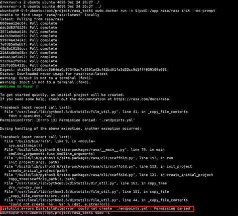 docker run fail distutils errors distutilsfileerror could not create