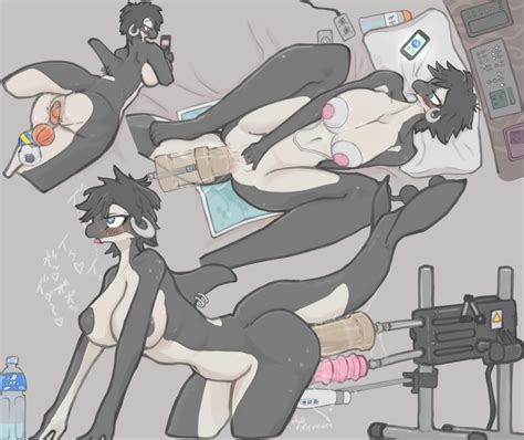 Rule 34