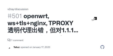 openwrt ws tls nginx tproxy透明代理出错，但对1 1 1 1 dns的udp转发正常 · issue 501