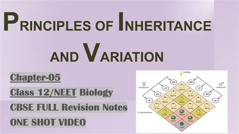 principles of inheritance and variation class 12 ncert chapter 05