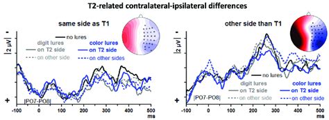 Contralateral Ipsilateral Erp Differences Evoked By T2 Data Are Grand