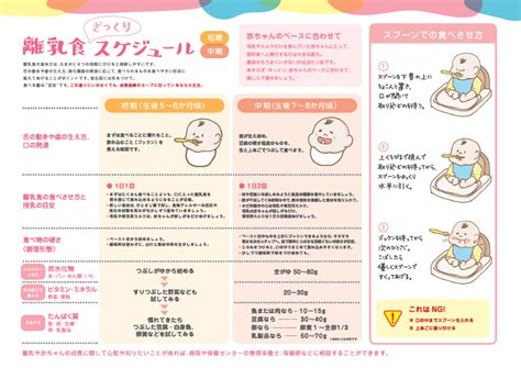 島根県：離乳食のすすめ方の目安（トップ くらし 健康 健康 食育の推進 食のまめ知識 乳幼児期の栄養）