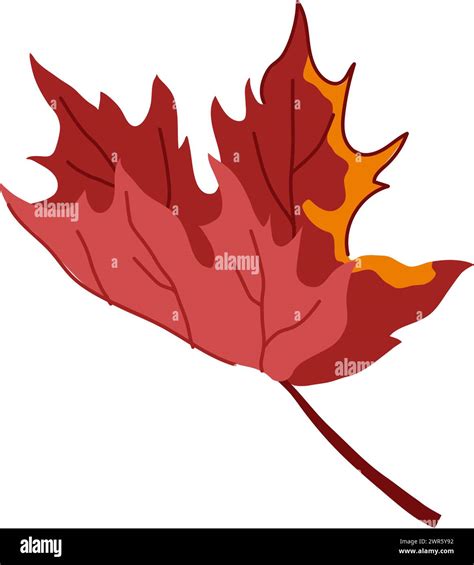Flag Maple Leaf Cartoon Vector Illustration Stock Vector Image And Art