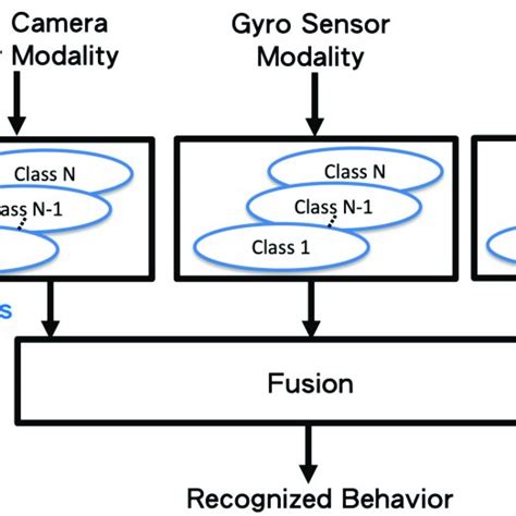 training process for the behavior classifiers of the proposed