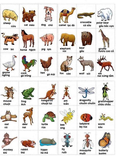 Sách Từ Vựng Tiếng Anh Bằng Hình ảnh Nhanh Và Hiệu Quả TrƯỜng Thpt