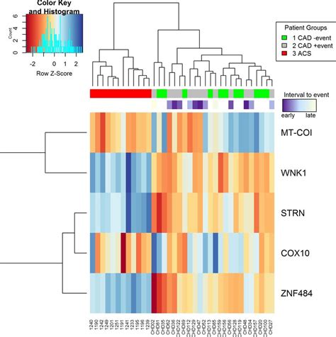 Gene Expression Heat Map Acs Patients Are Separated From Two Groups Of