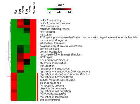 gene ontology bias in sequencing and microarray obtained by