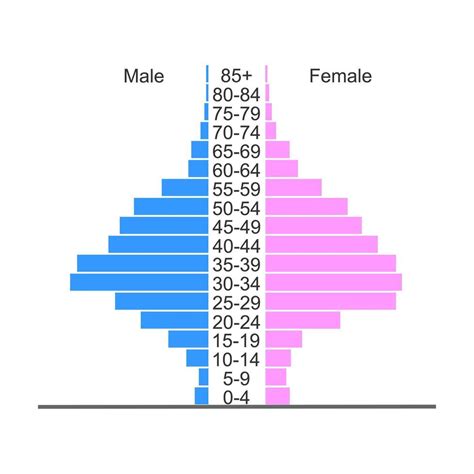 Population Pyramid Age Structure Diagram Template Example Of