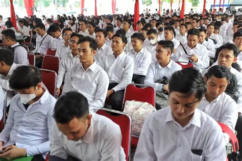 Dalam Proses Pendaftaran Pppk 2024 Ini Menpanrb Diminta Untuk