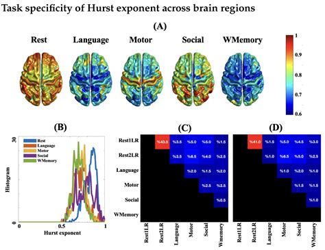 Entropy Free Full Text On The Spatial Distribution Of Temporal