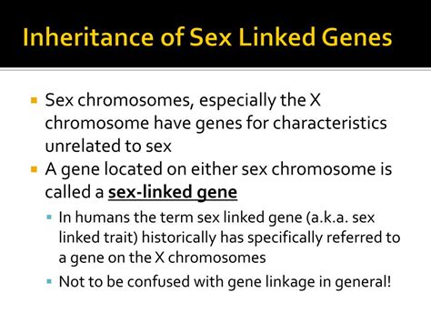Ppt The Chromosomal Basis Of Inheritance Powerpoint Presentation