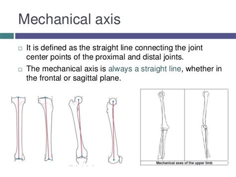 Normal Limb Alignment