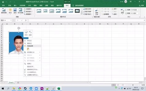 【excel表格制作教程】你不得不知的excel基础知识 二 我拉网