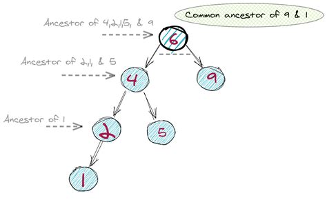 algodaily lowest common ancestor description