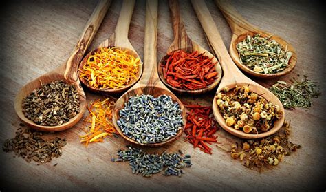 4 Proven Ways To Increase Your Testosterone Levels In 2024
