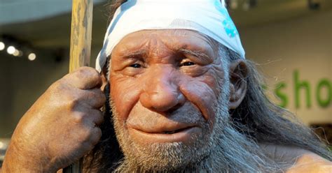 how sex with neanderthals made us stronger