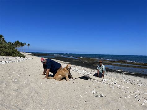 Tmg Cleans Up Kona Village Beach In The Spirit Of Malama Aina Tmg