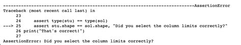 python how to find the row that maximize a column in a dataframe