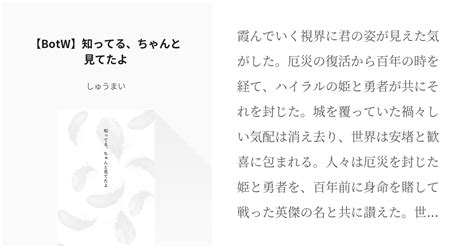 Botw リンク 【botw】知ってる、ちゃんと見てたよ しゅうまいの小説 Pixiv