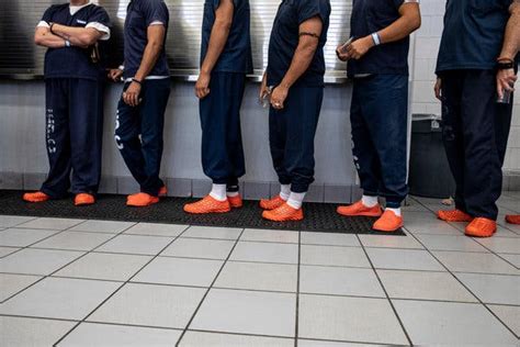 Promises Aside Deportations Under Trump Dropped In Last Year The New