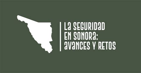 La Seguridad En Sonora Avances Y Retos Marco Paz Pellat