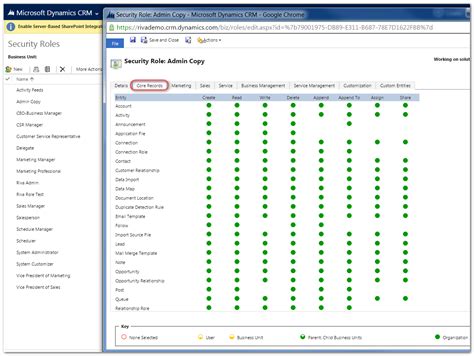 microsoft dynamics crm security role permissions explained