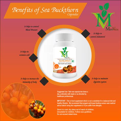 Sea Buckthorn Capsule At Rs 160 Bottle Nirman Nagar Jaipur Id
