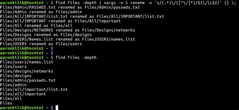 rename all files and directory names to lowercase in linux