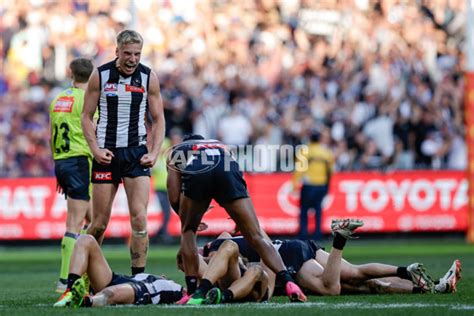 Afl 2023 Grand Final Collingwood V Brisbane A 43592330 Afl Photos