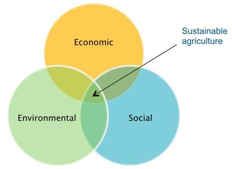 Sustainable Agriculture Cycle Sustainable Agriculture Agriculture