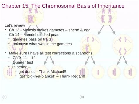 Pptx Chapter 15 The Chromosomal Basis Of Inheritance Lets Review