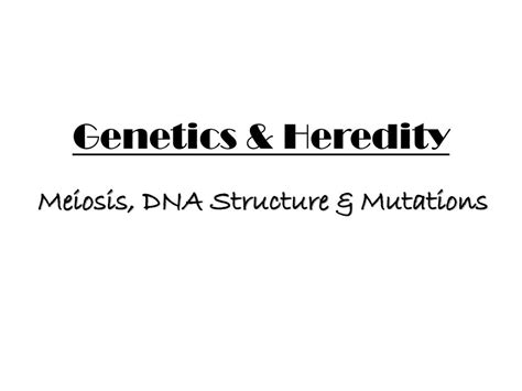 Meiosis Dna Structure And Mutations Ppt Download
