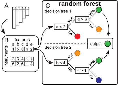 decision trees vote for class outcome in a random forest
