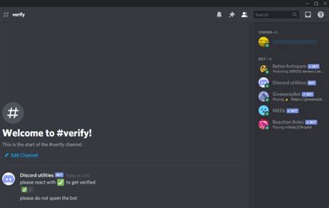 make you a custom discord bot for 10 dollars by the lent fiverr