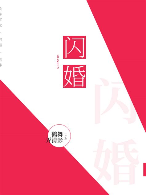 闪婚全文阅读 闪婚最新章节 现代言情 九阅小说