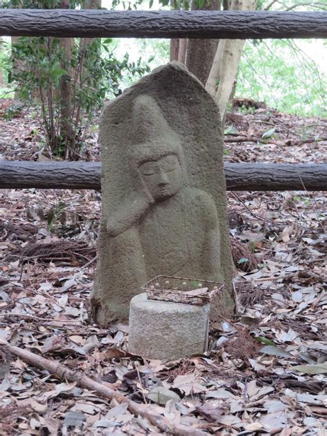 茨城県稲敷郡阿見町：星の里公園とその周辺 怠け者の散歩道2
