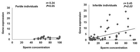 Correlation Between Sperm Concentration And Relative Klc3 Expression In
