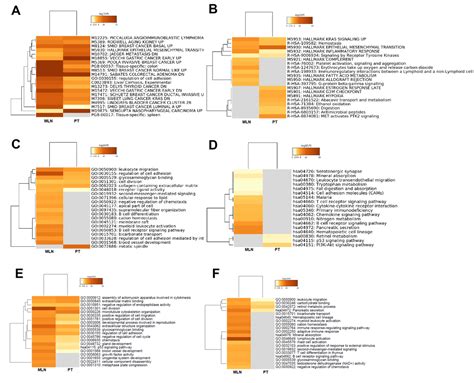 Identification And Functional Analysis Of Lncrnas And Mrnas Between