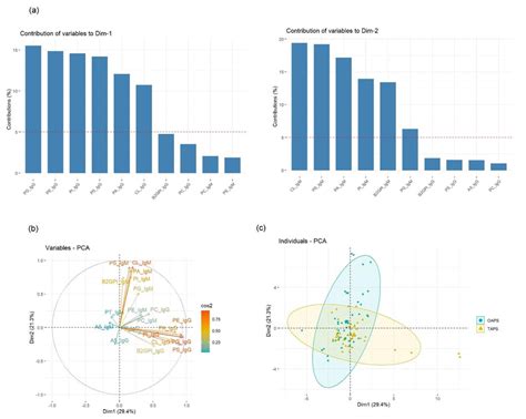 Antiphospholipid Antibody Apl Clustering For Obstetric Oaps And